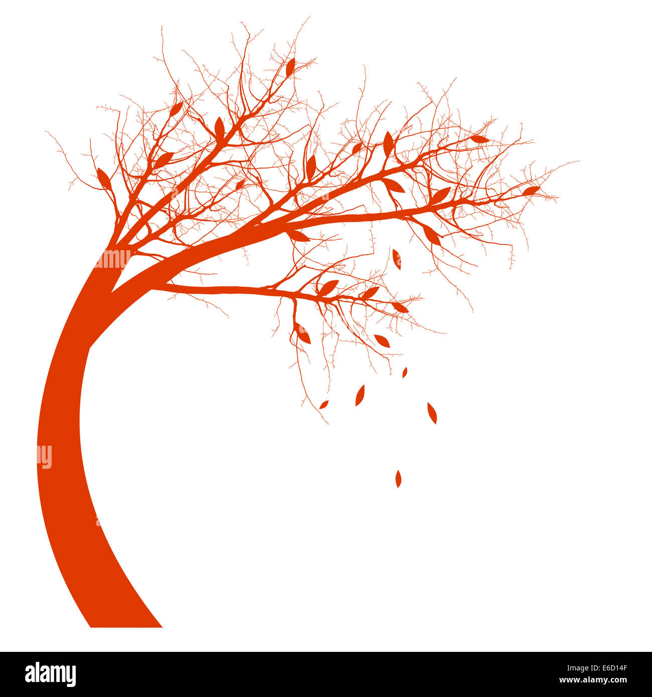 Tree shadow on white Cut Out Stock Images & Pictures - Alamy