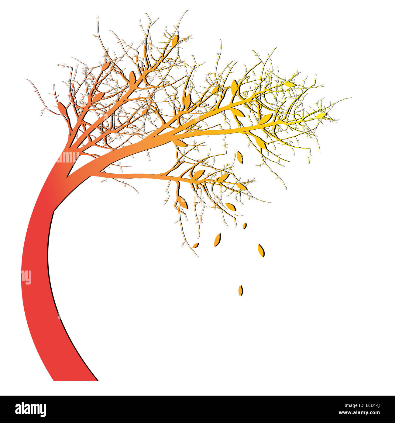 Autumn Tree silhouette isolated on white Stock Photo - Alamy