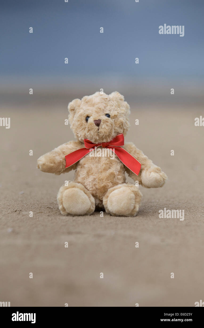 Teddy Bear on the Beach Stock Photo - Alamy