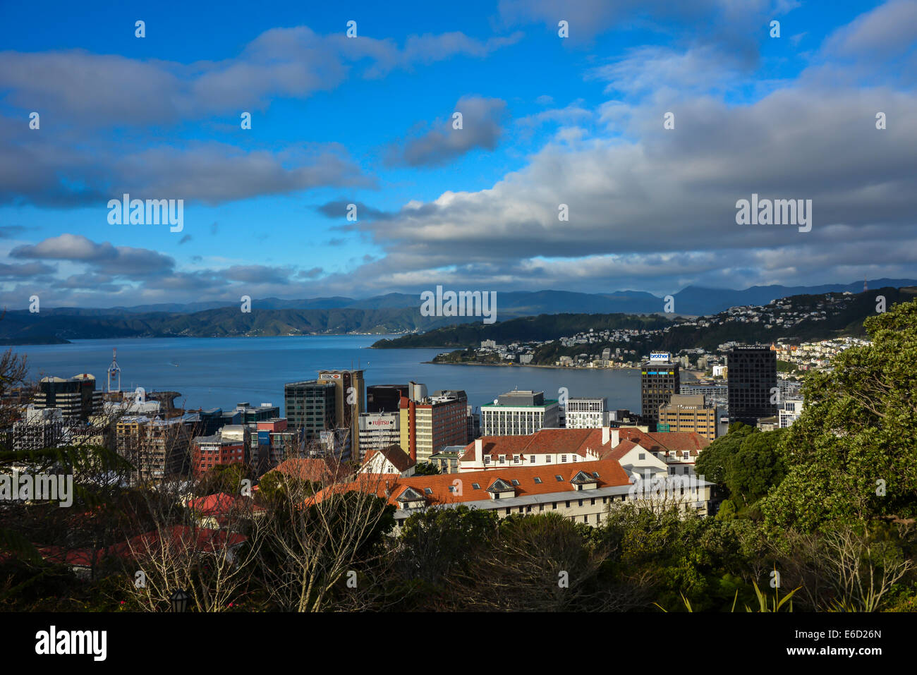 wellington capital city of new zealand showing view over bay of ...