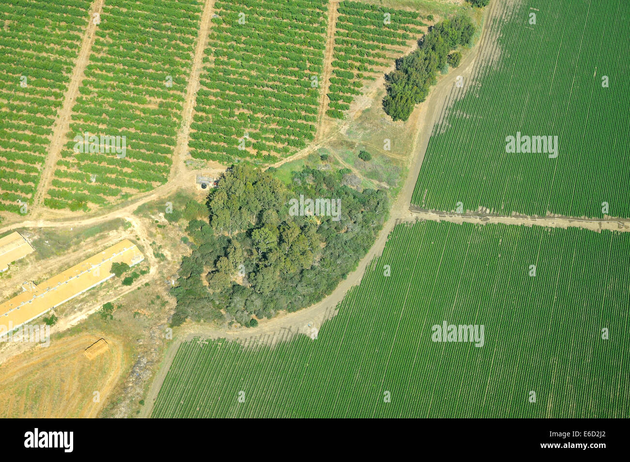 Aerial View of cultivated farmland Photographed in Israel Stock Photo ...