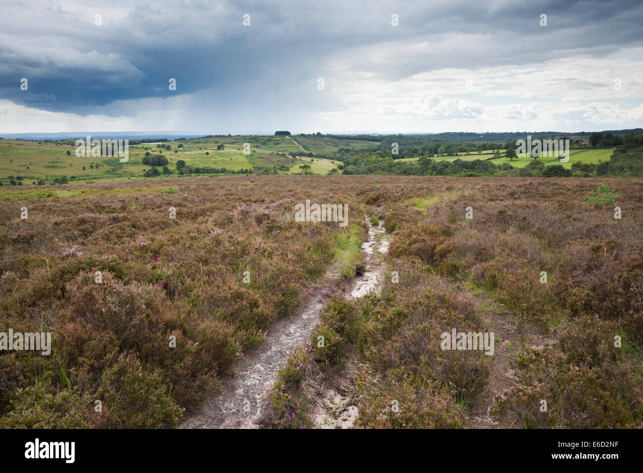 Rain storm moving across the heathland of Ashdown Forest in the Weald ...