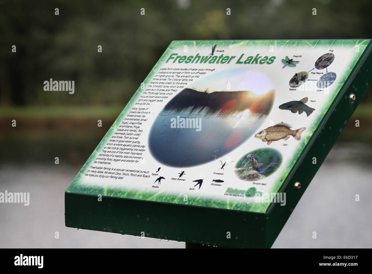 Environmental display on fishing pond bank Stock Photo - Alamy