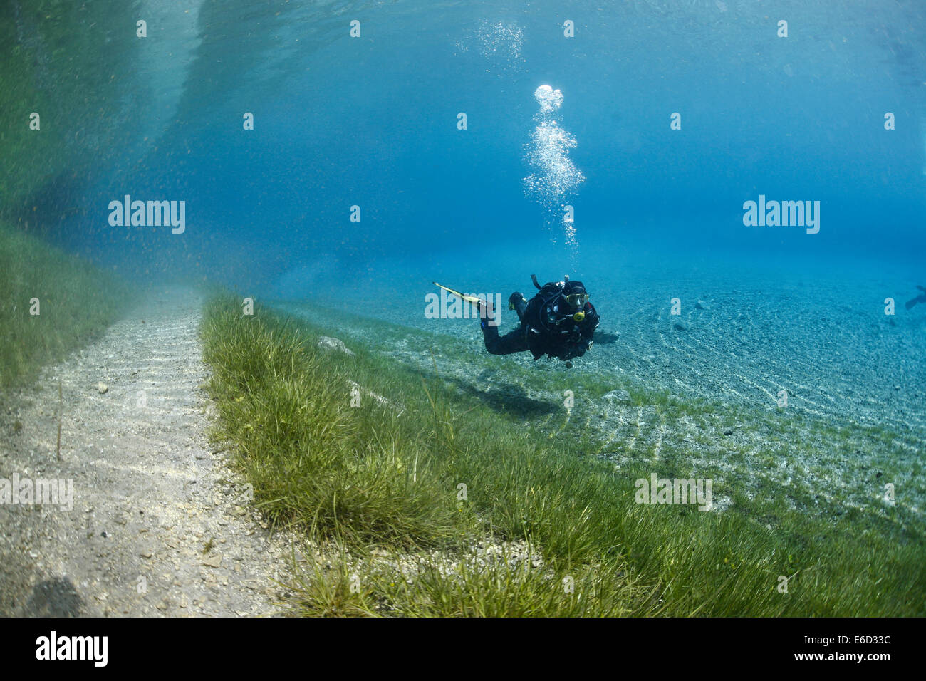 Gruner see underwater hi-res stock photography and images - Alamy