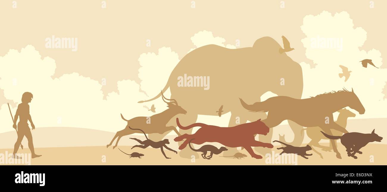 Animals Running Away From Humans