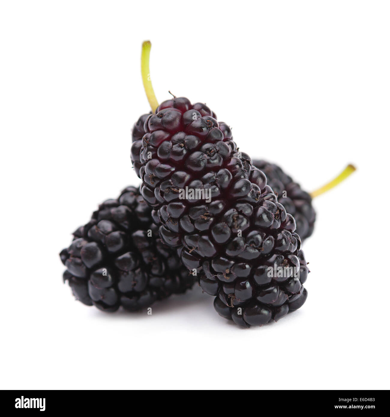 Black mulberry hi-res stock photography and images - Alamy