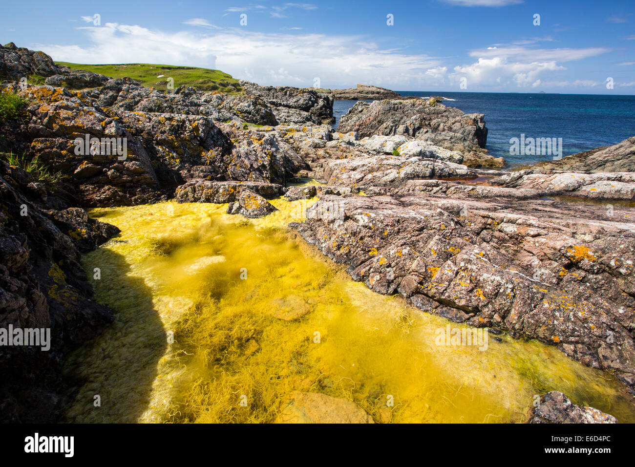 Lichen Growing On Granite Rock High Resolution Stock Photography and ...