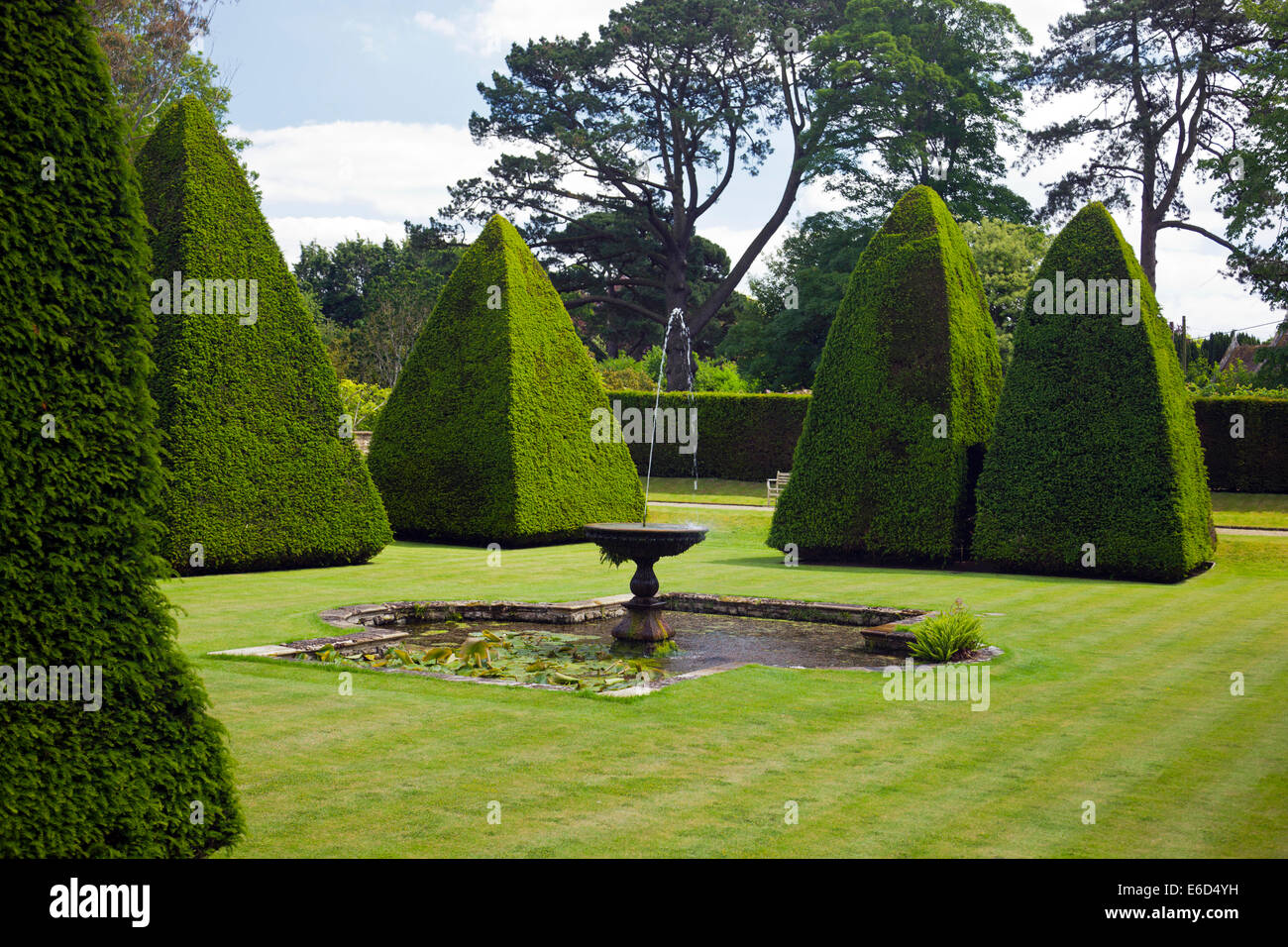 Clipped yew trees in the sunken garden of the Great Court at ...