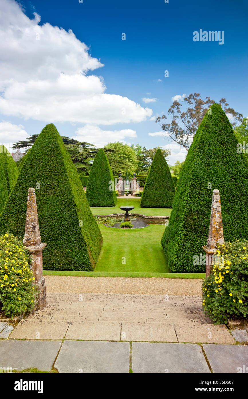 Pyramid shaped topiary yew trees hi-res stock photography and images ...
