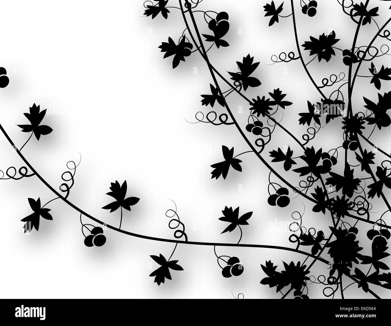 Shadow of vine leaves hi-res stock photography and images - Alamy