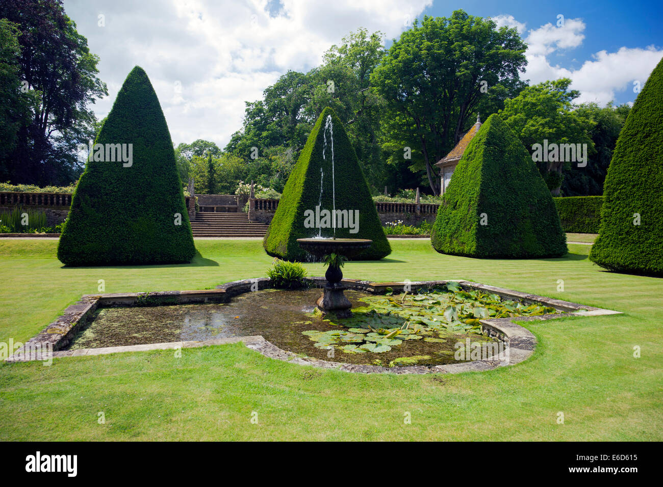 Clipped yew trees in the sunken garden of the Great Court at ...