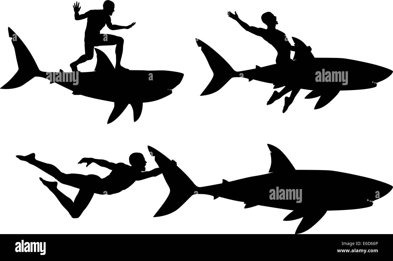 Shark surfer Black and White Stock Photos & Images - Alamy