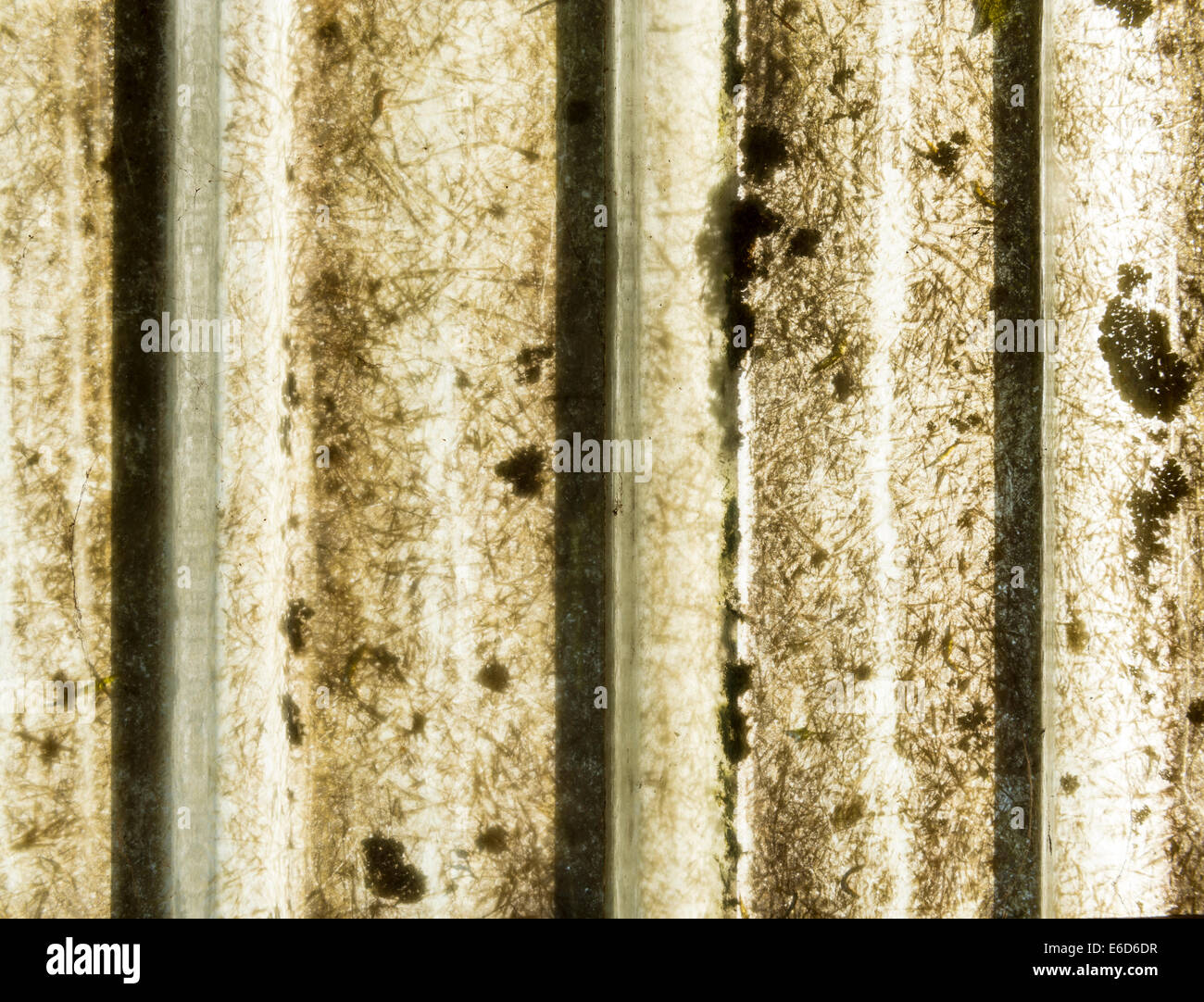 Mould house hi-res stock photography and images - Alamy