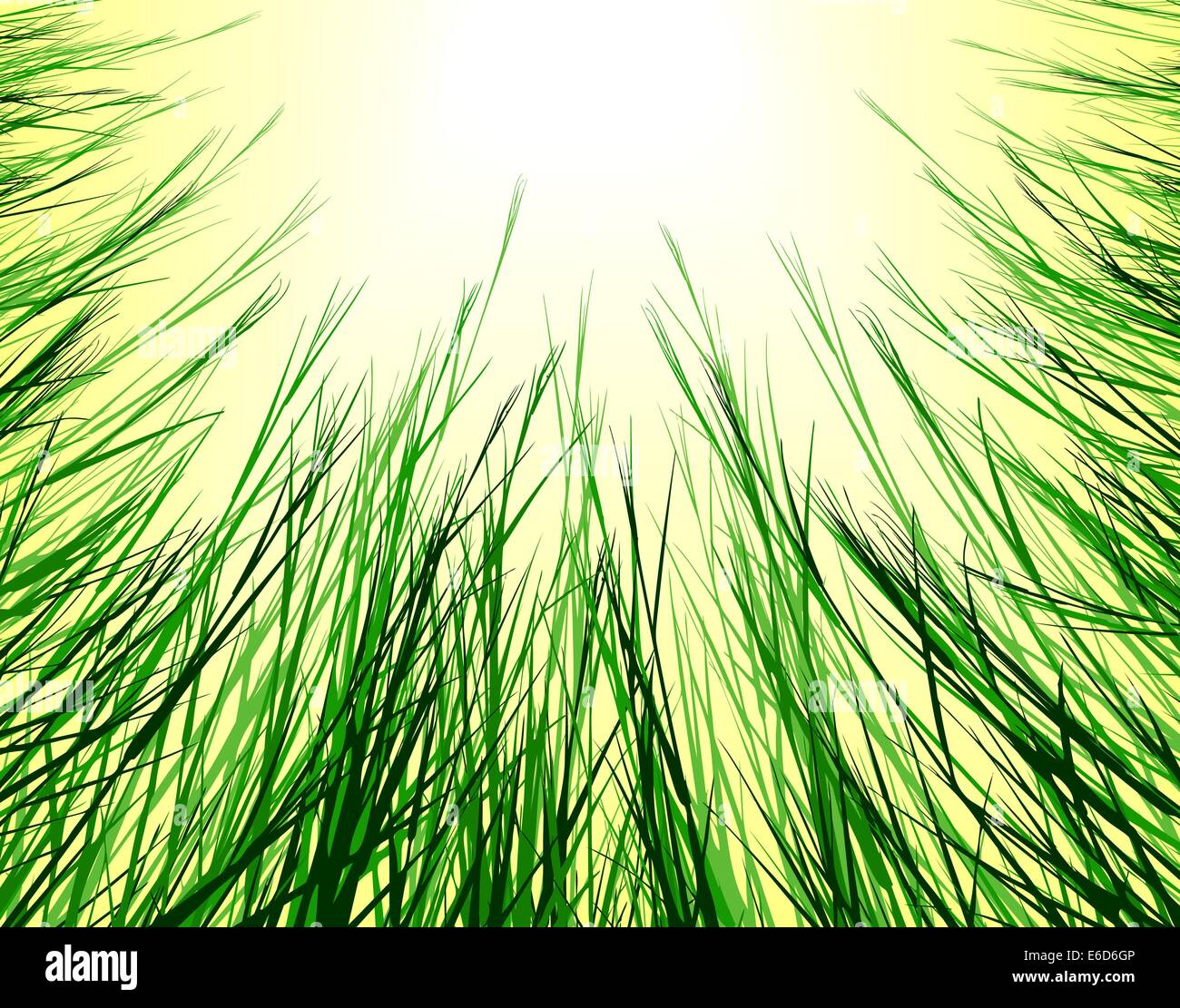 Through the meadow Stock Vector Images - Alamy