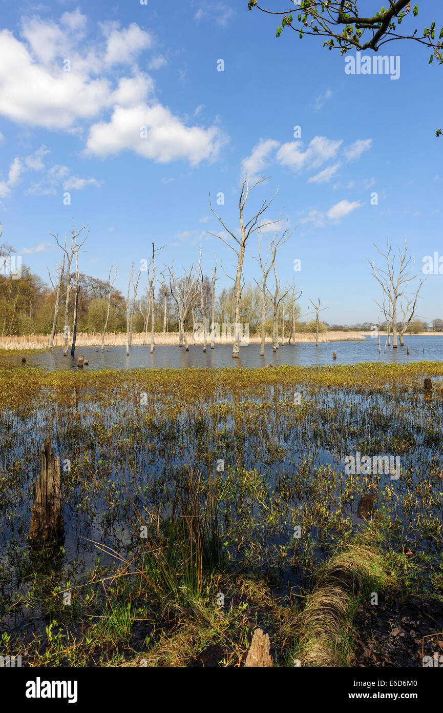 Arcot pond hi-res stock photography and images - Alamy