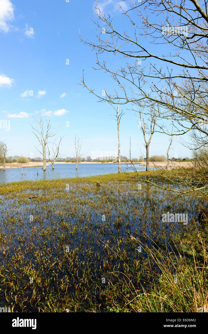 Arcot hi-res stock photography and images - Alamy