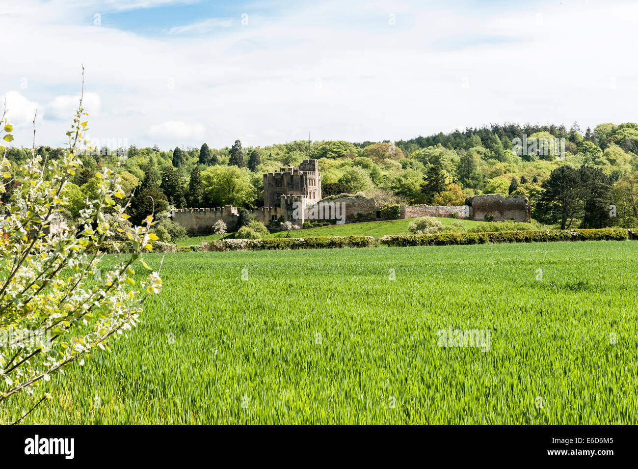 Bothal castle hi-res stock photography and images - Alamy