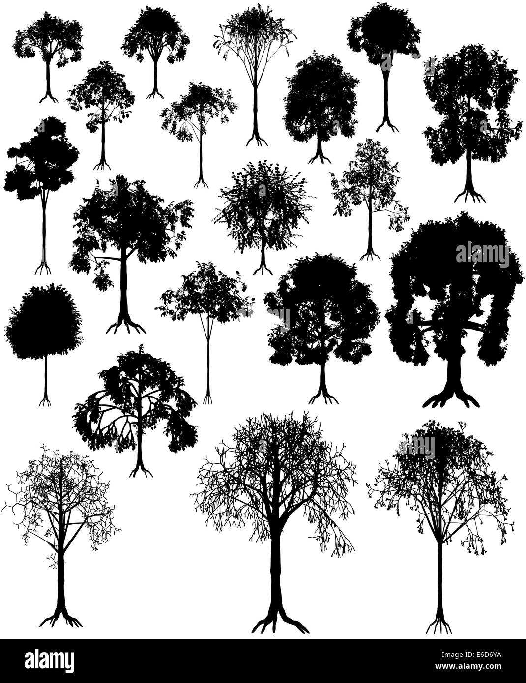 Tree vector silhouette set hi-res stock photography and images - Alamy