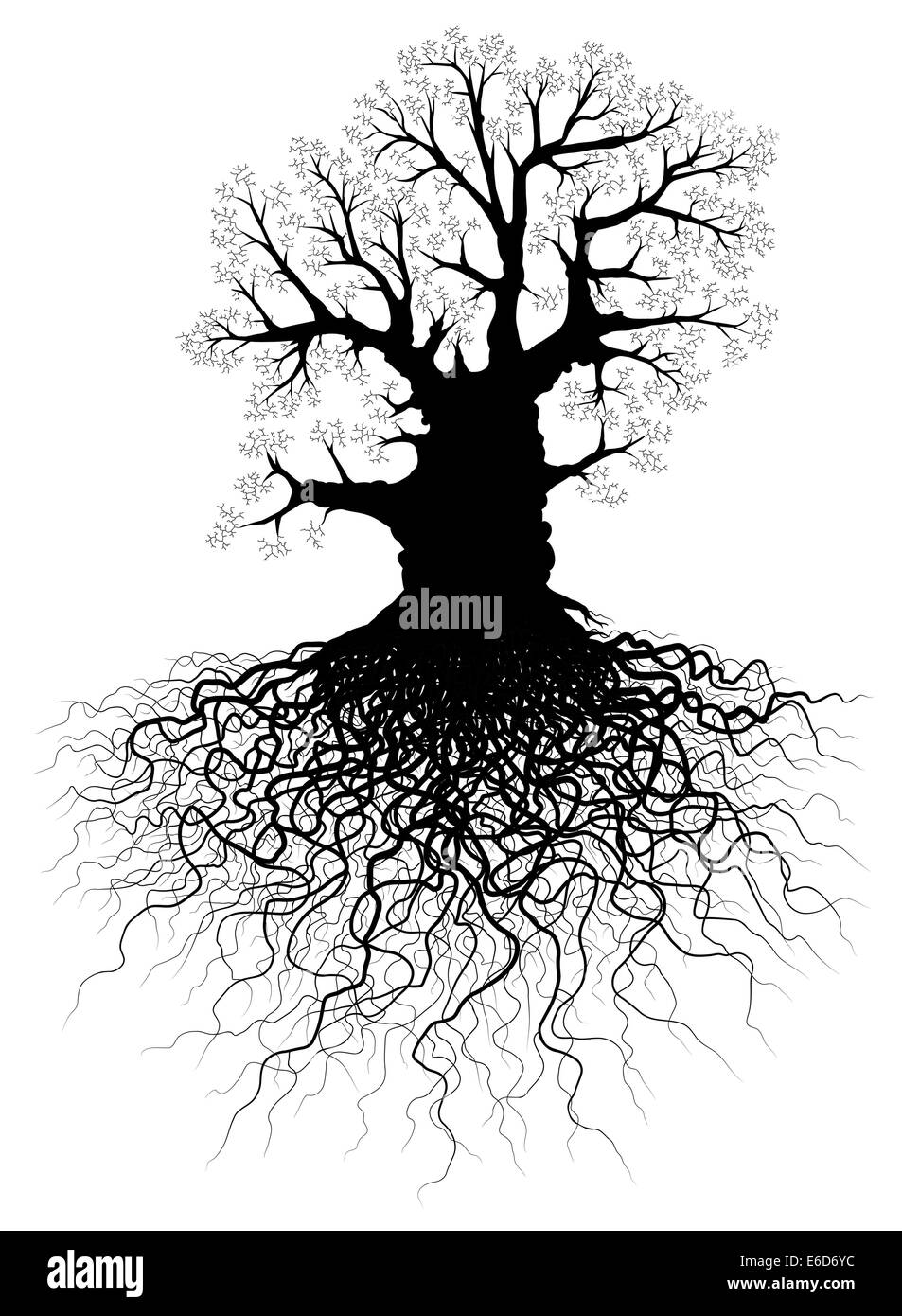 Editable vector illustration of a leafless oak tree with root system ...