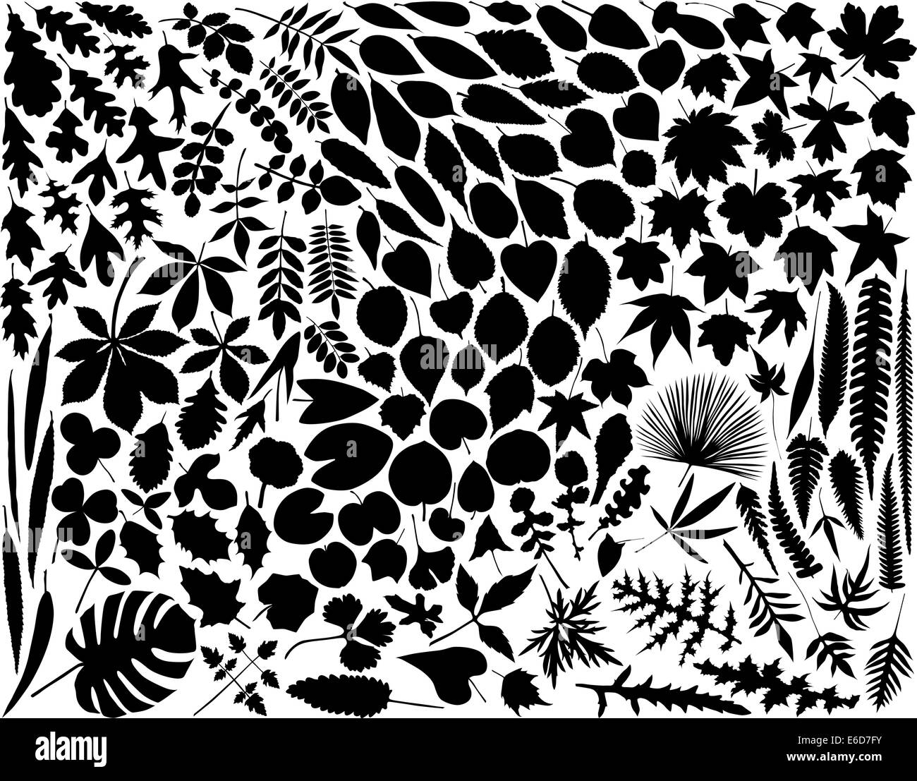 Leaf Stock Vector Images - Alamy
