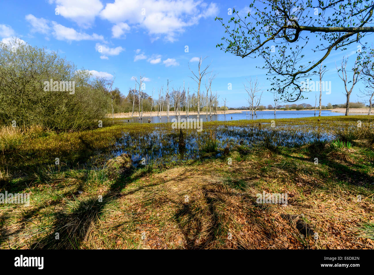 Arcot hi-res stock photography and images - Alamy