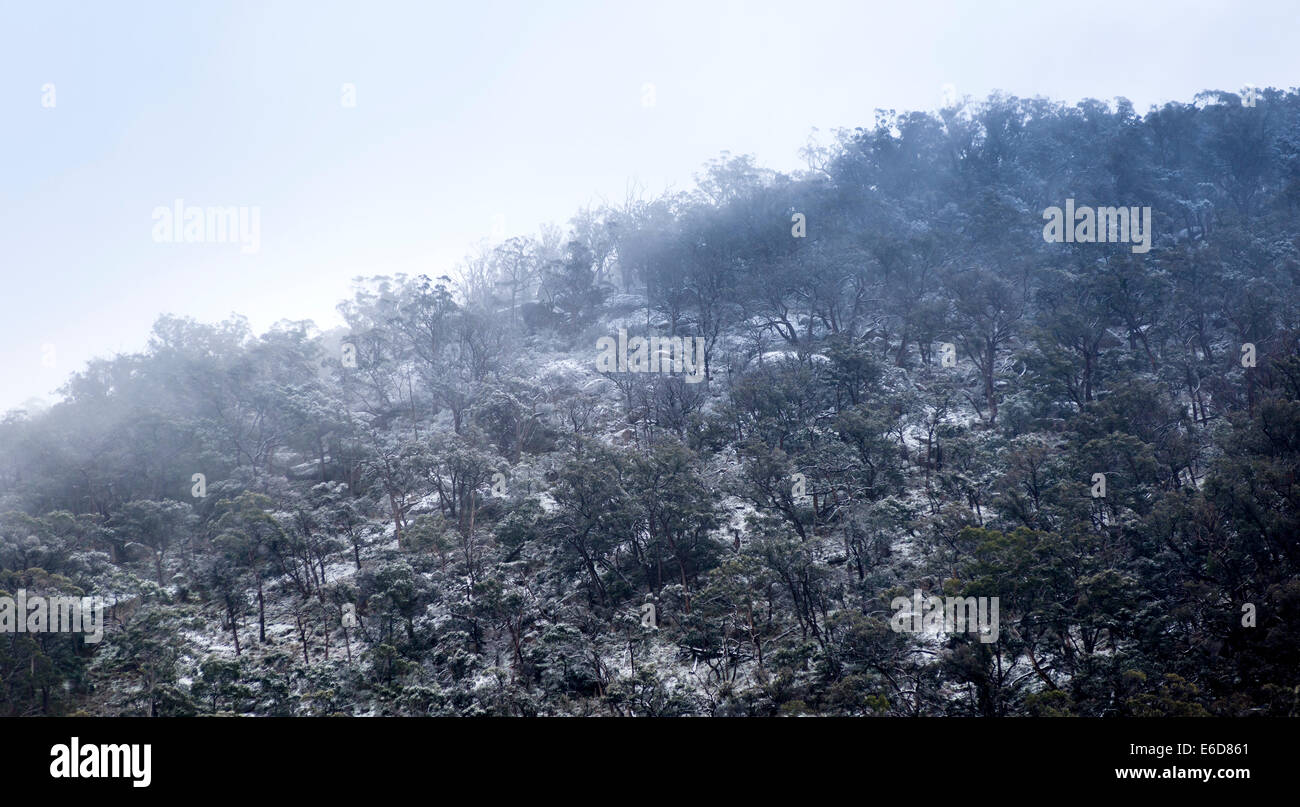 Fog cloud hi-res stock photography and images - Alamy