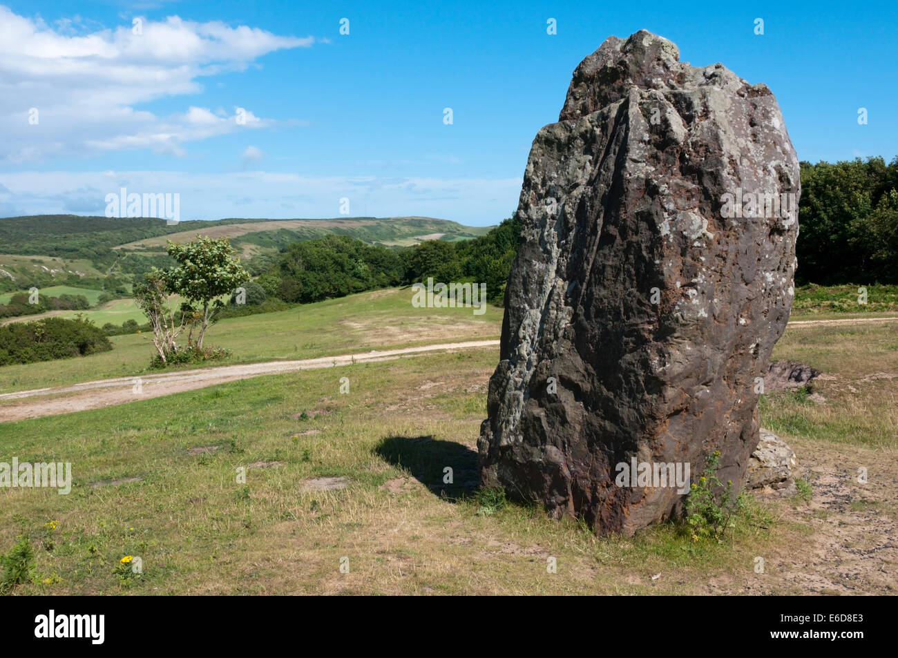 The Long Stone on Mottistone Common, the remains of a Neolithic long ...