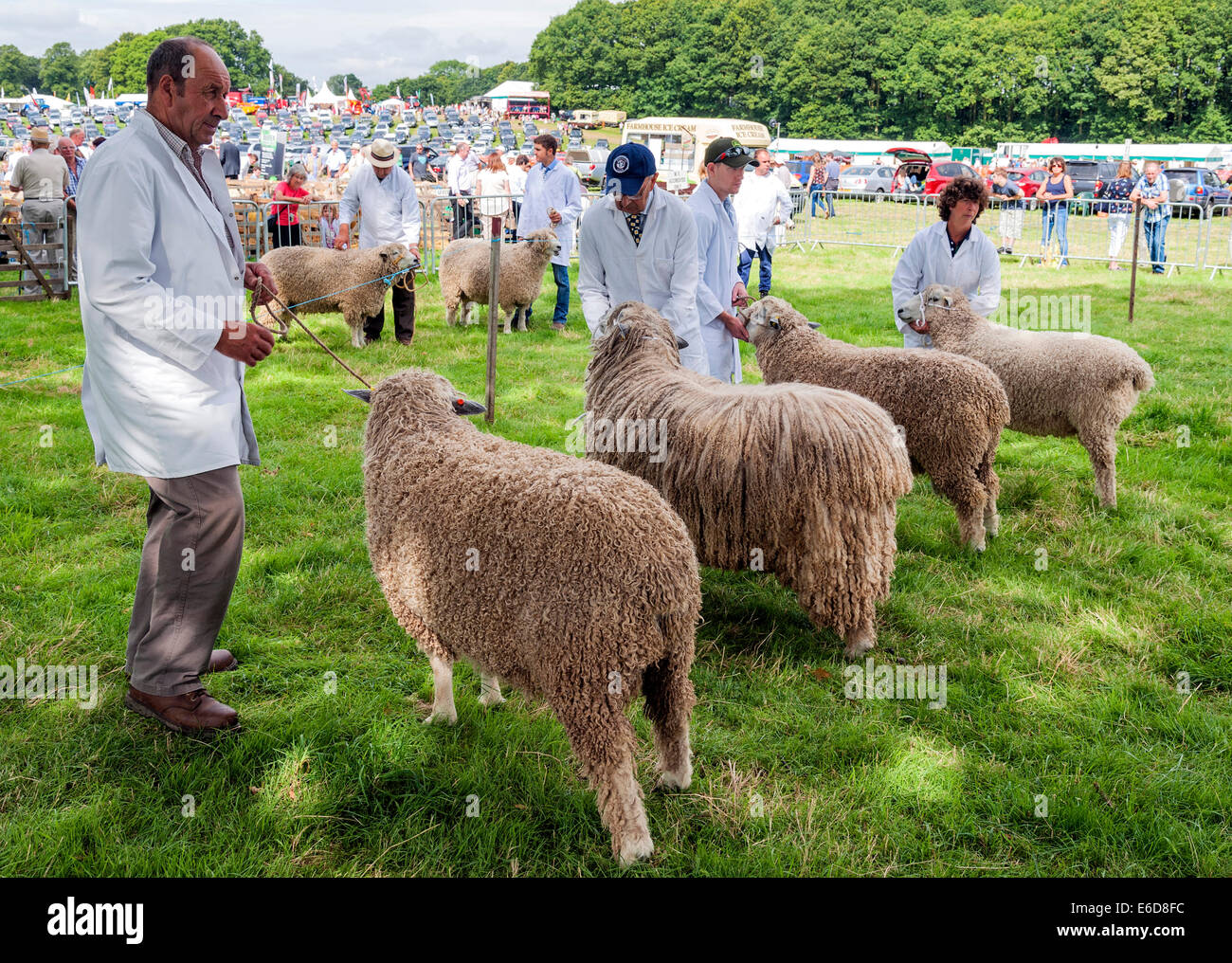Ryedale show hi-res stock photography and images - Alamy