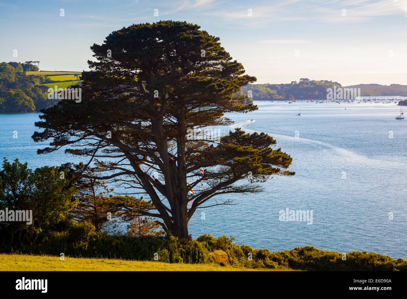Beautiful evening view up the River Helford from Toll Point near Mawnan ...