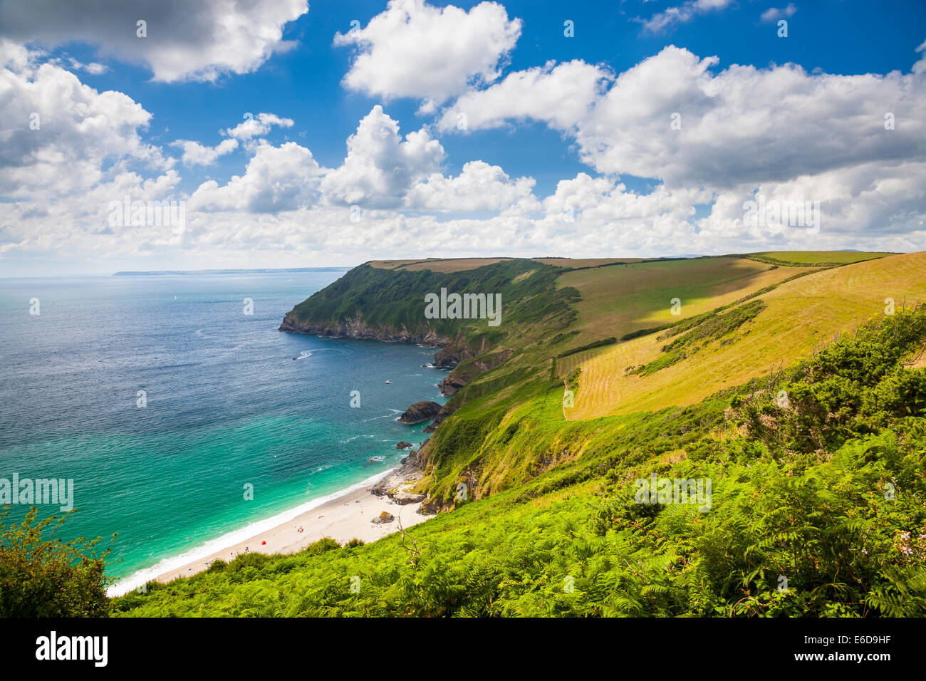 Overlooking Lantic Bay beach near Polruan Cornwall England UK Europe ...
