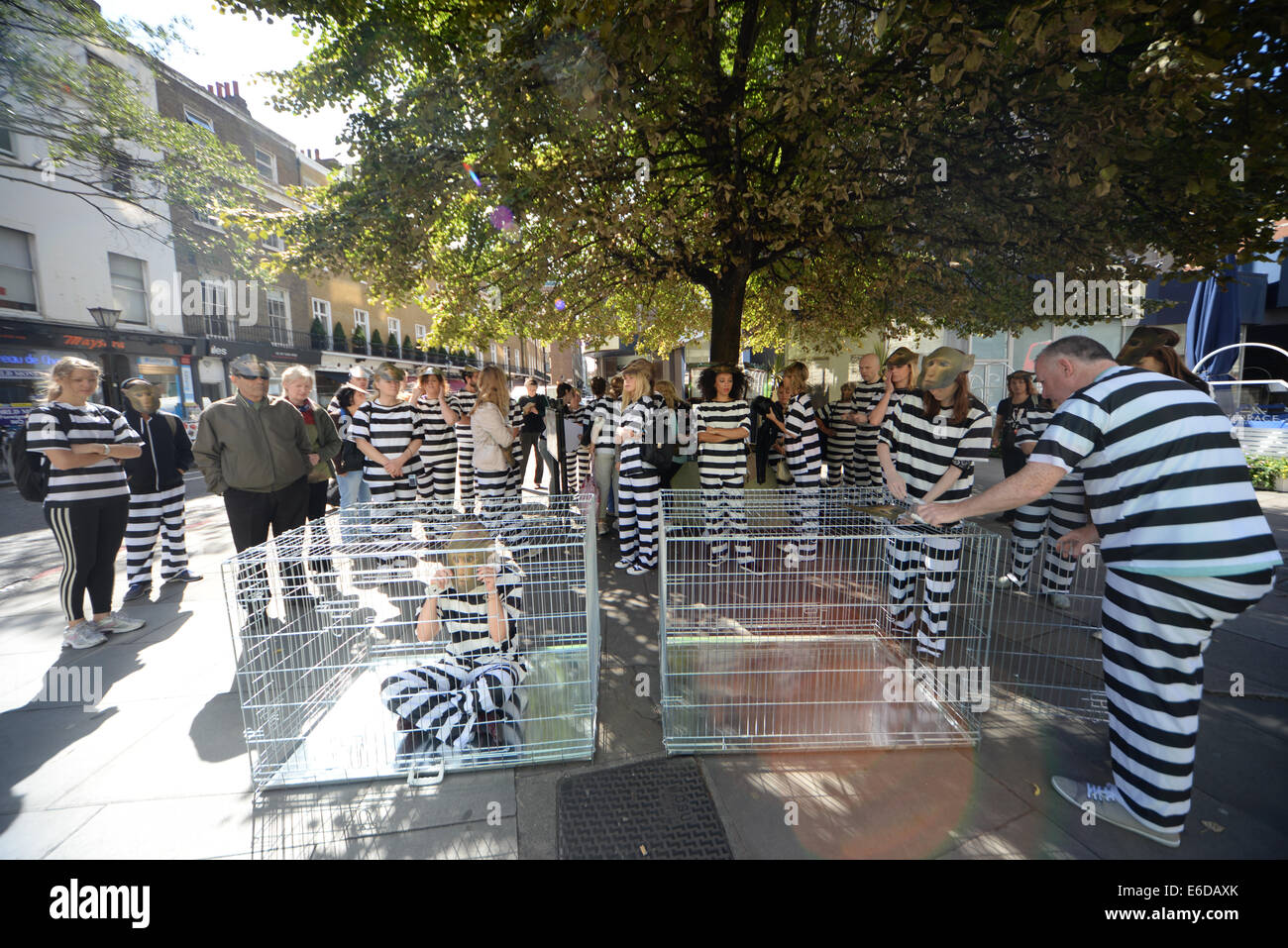 Peta protest monkey hi-res stock photography and images - Alamy