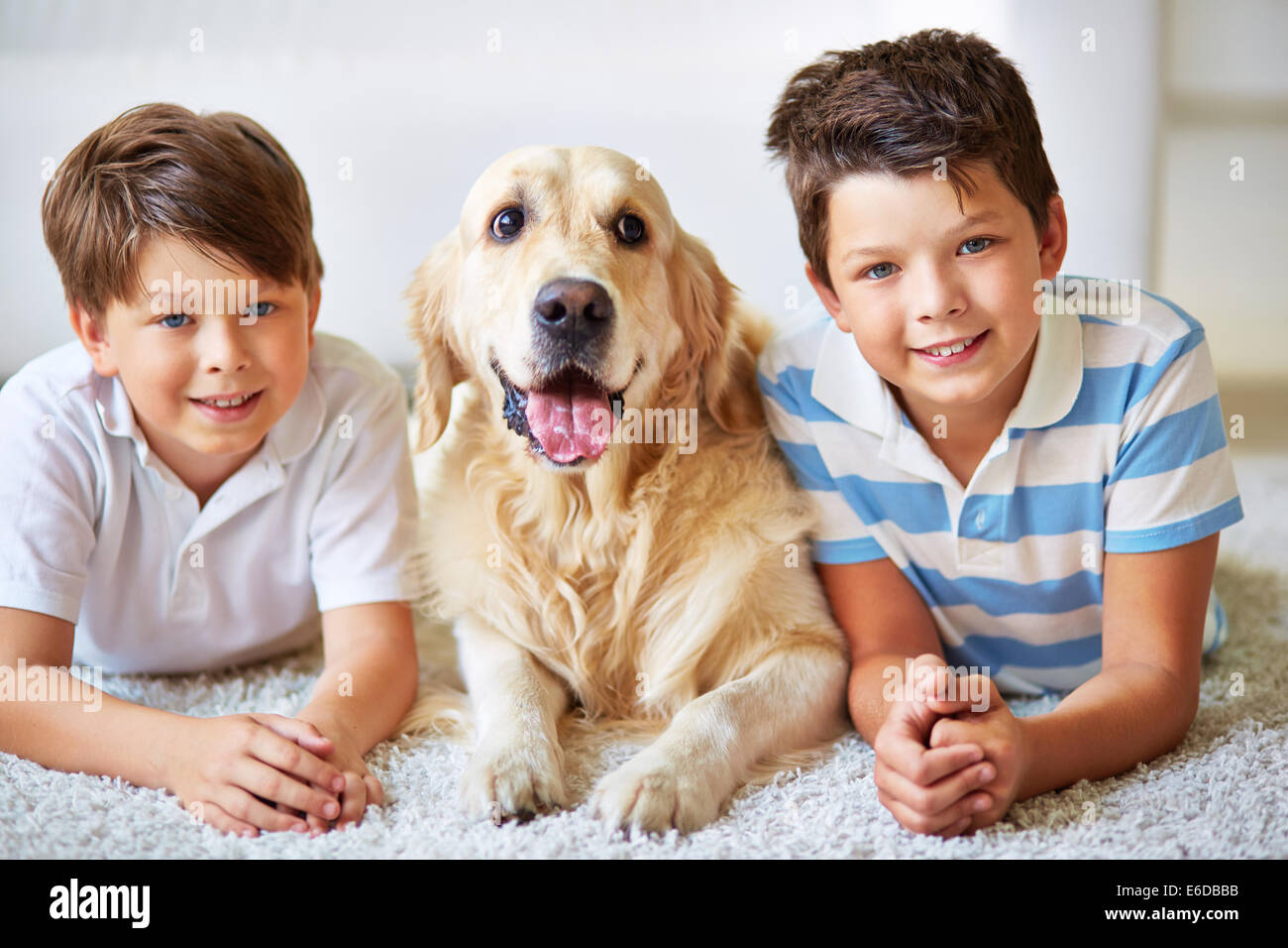 Portrait of two little boys and a dog Stock Photo - Alamy