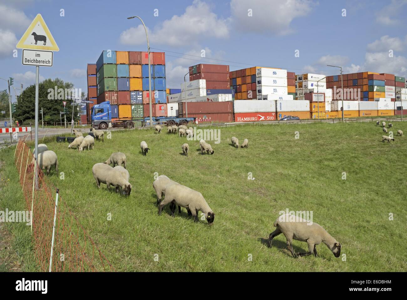 Sheep lorry hi-res stock photography and images - Alamy