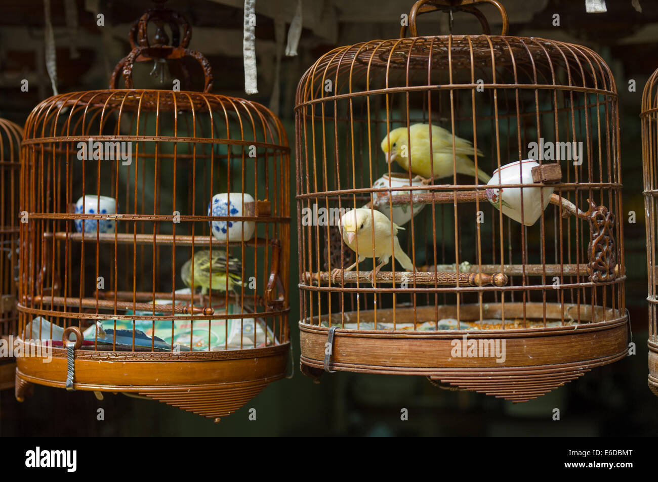 Ornate birdcages containing songbirds at the Mong Kok Bird Market ...