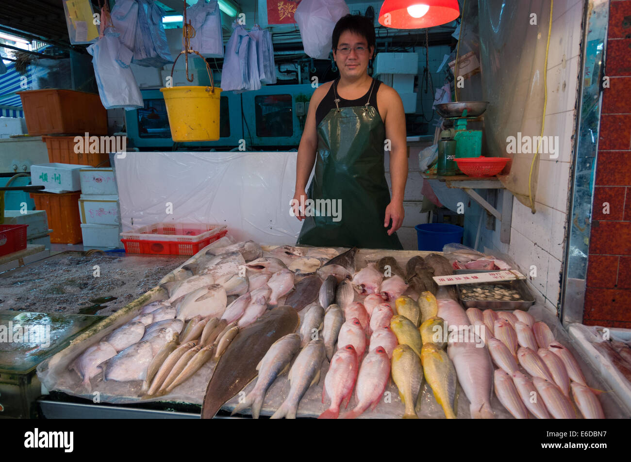 Worker in a fish shop standing over his display, Hong Kong Island, Hong ...