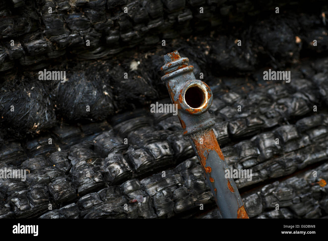 Conduit Wood High Resolution Stock Photography and Images - Alamy