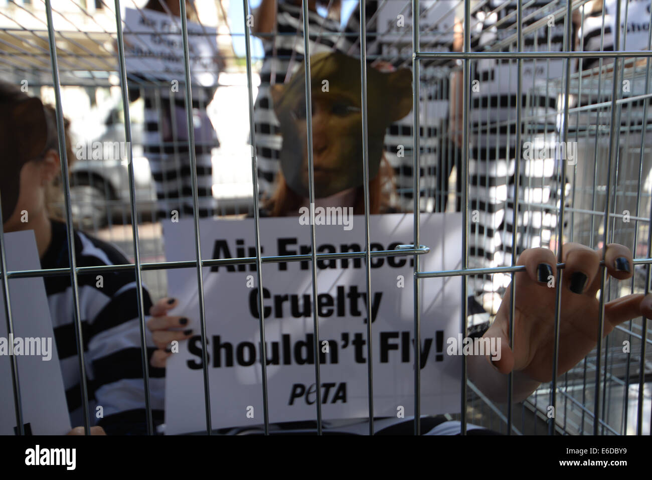 Peta activities hi-res stock photography and images - Alamy