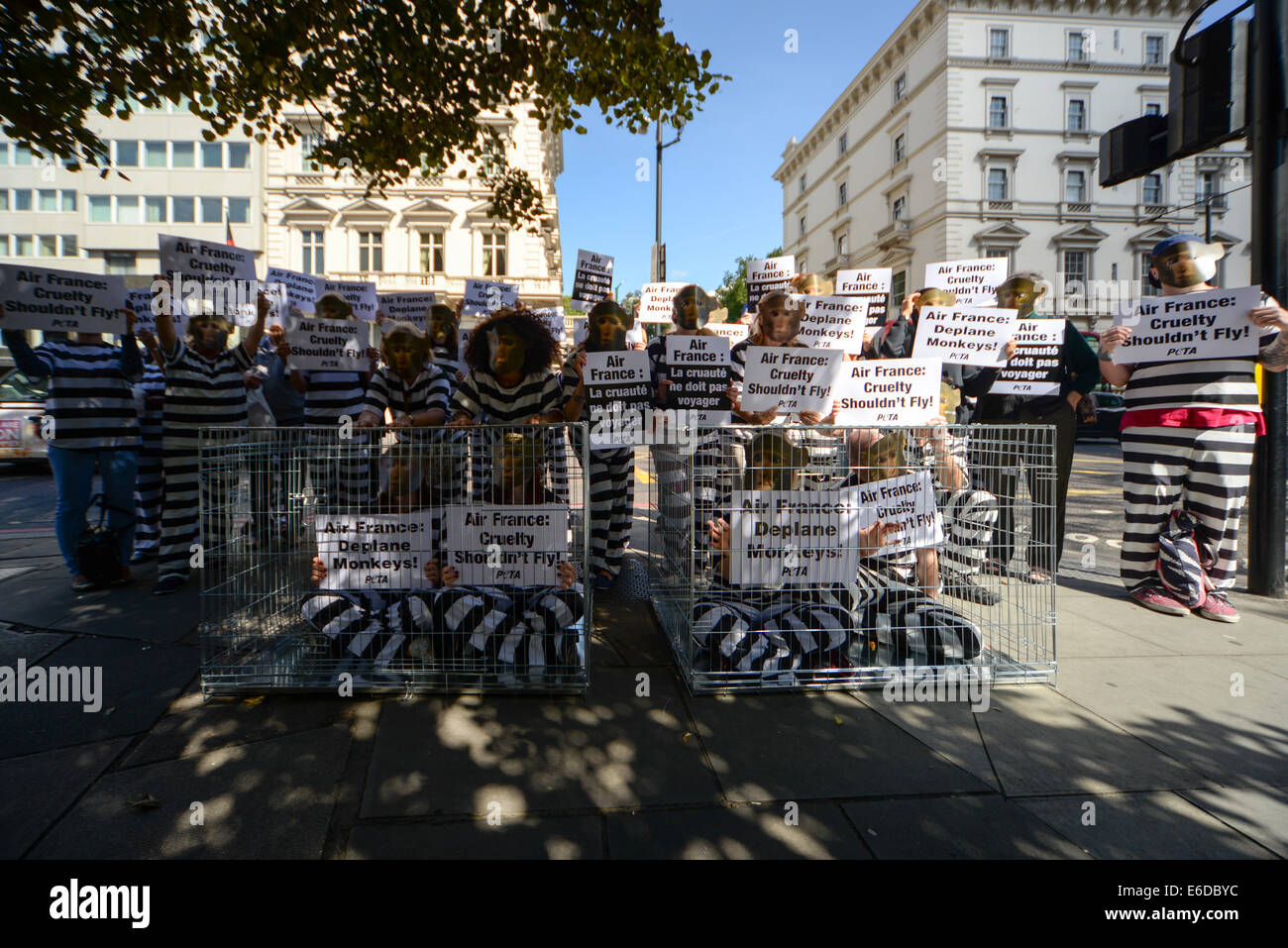 London, UK. 21st Aug, 2014. Peta activities protest against Air France ...