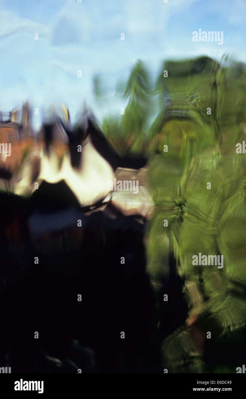 Distorted view through obscuring window of green tree or bush and white ...