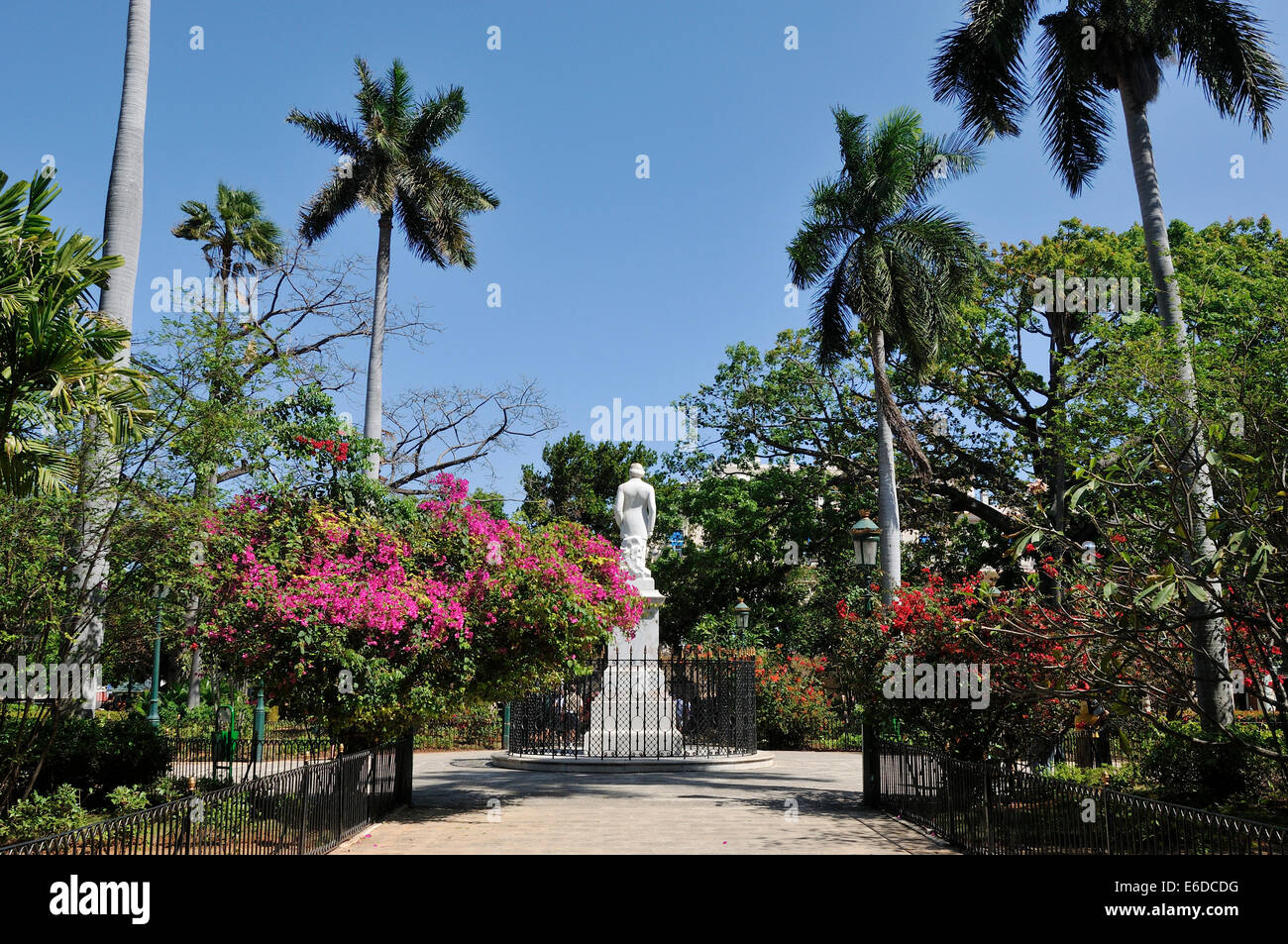 Cespedes hi-res stock photography and images - Alamy