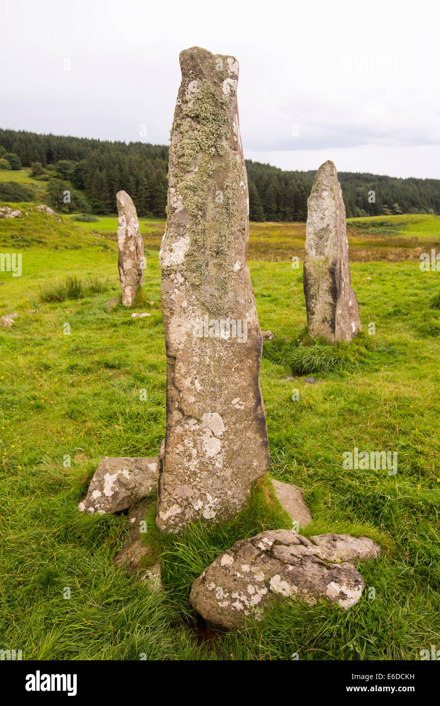 4000 year old Standing stones on the Glen Gorm estate near Tobermory ...