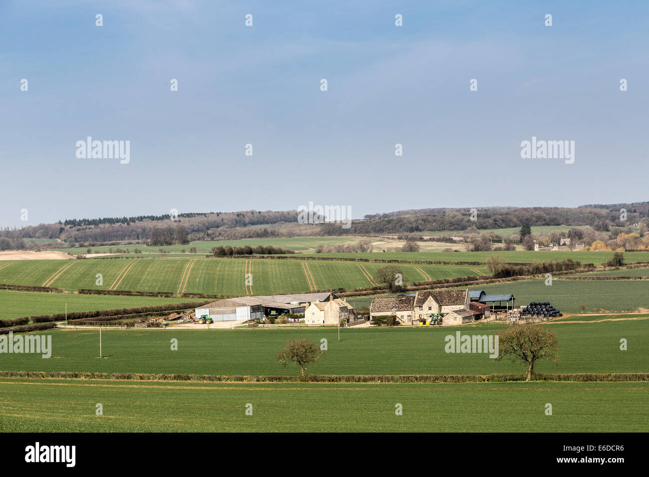 Cotswold farm in agricultural land, England UK Stock Photo - Alamy