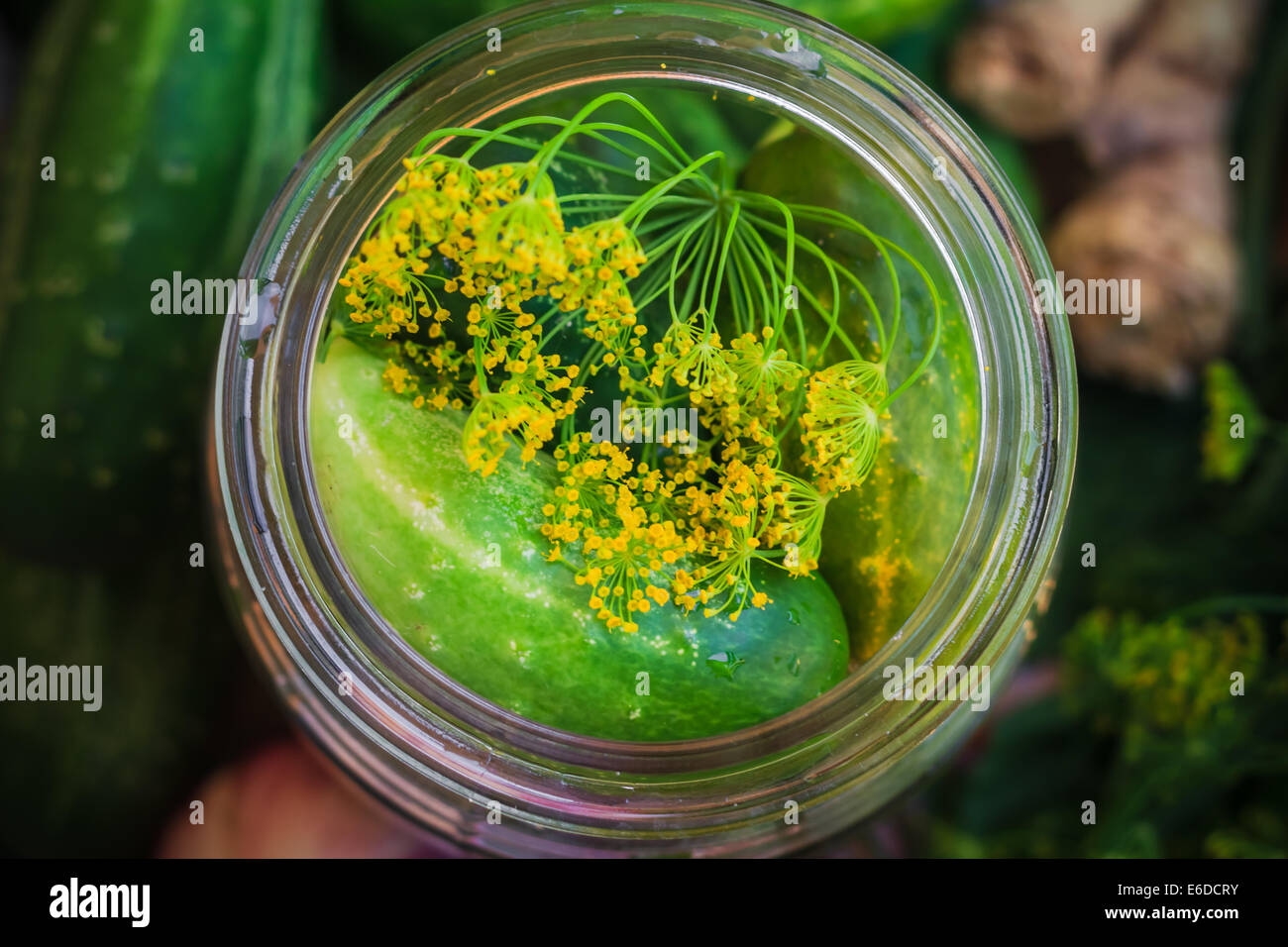 Top view of a jar of pickles and other ingredients for pickling Stock ...