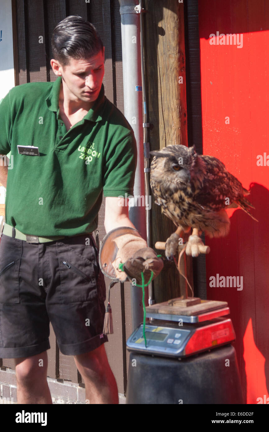 Weigh weighs hi-res stock photography and images - Alamy