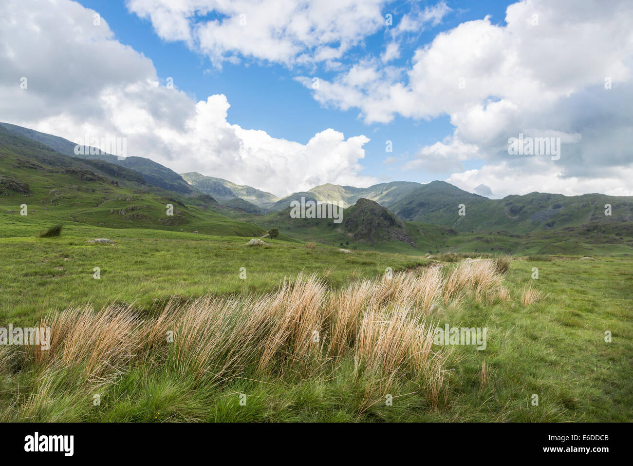 Lakeland fells scenery in summer, in the area of The Old Man Of ...