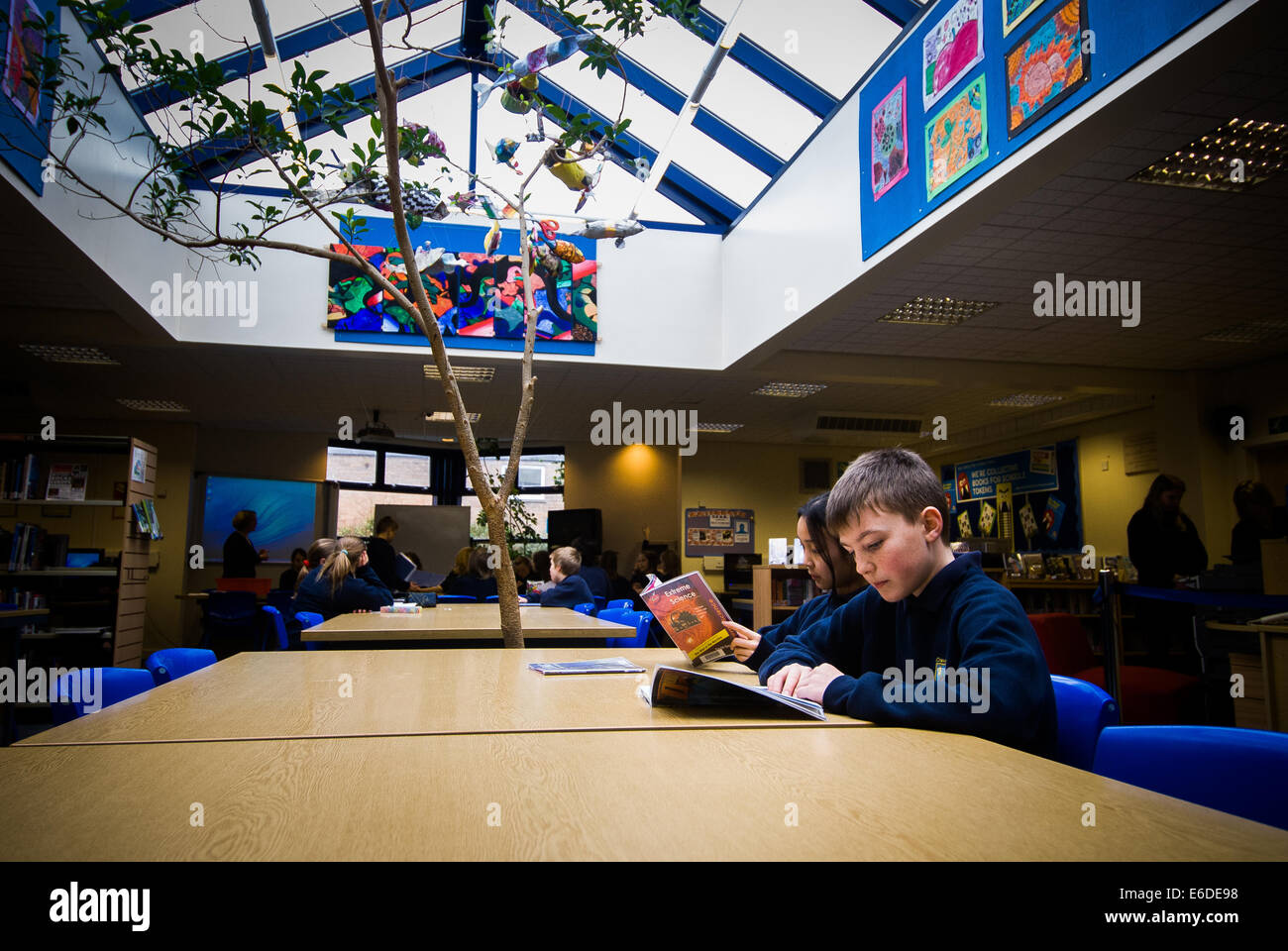 Schoolboy reading in the library at Secondary School in Cirencester, UK ...