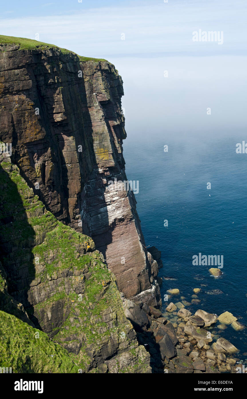 Cliffs at Puffin Bay, Handa Island, Sutherland, Scotland, UK Stock ...