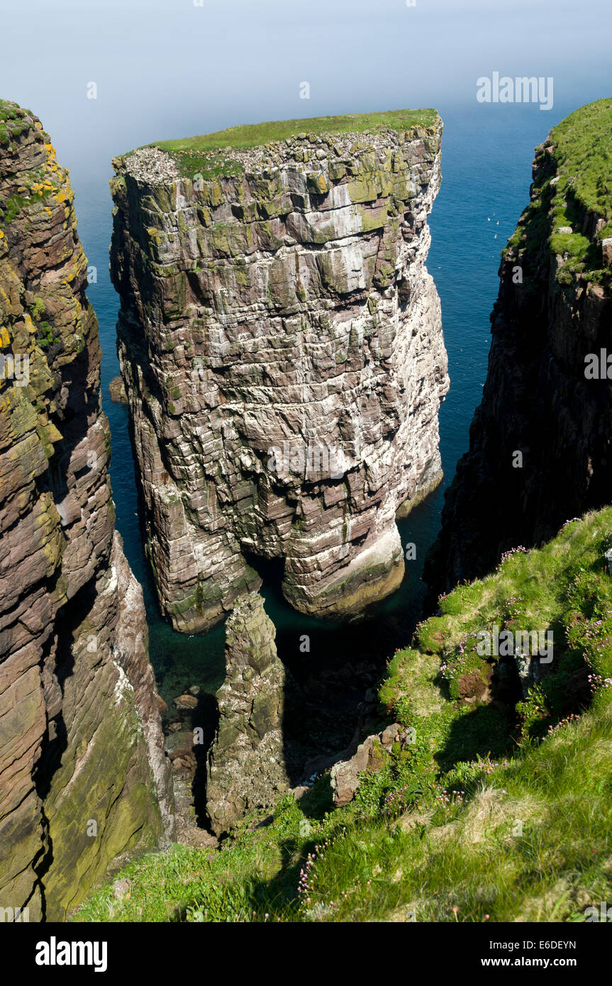 The Great Stack of Handa, Handa Island, Sutherland, Scotland, UK Stock ...