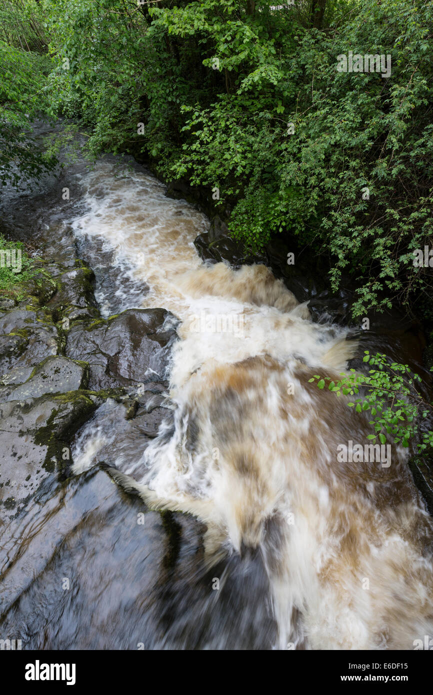 Brown floodwater in the River Clydach, Clydach Gorge, Wales, UK Stock ...