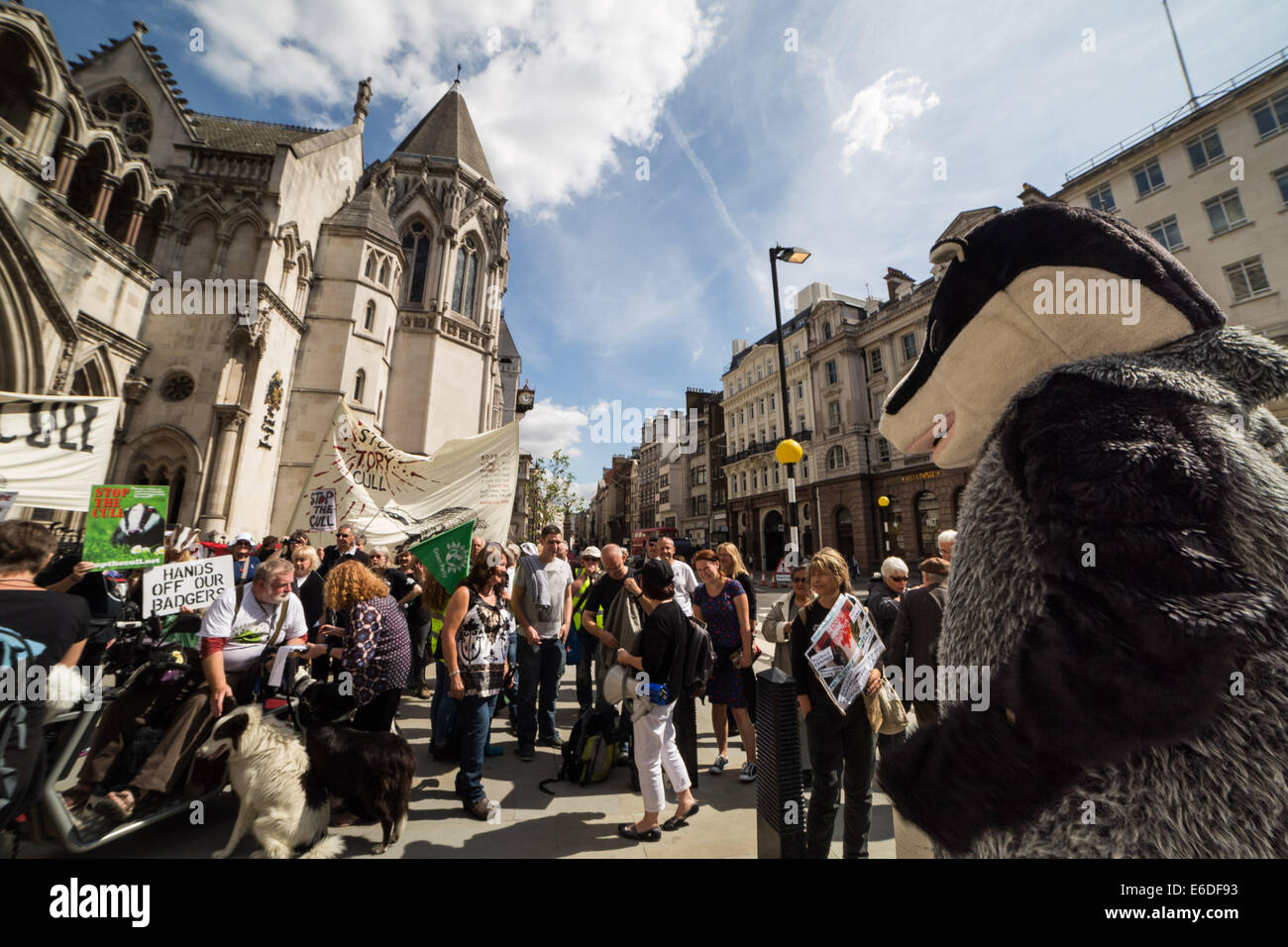 News royal wildlife hi-res stock photography and images - Alamy